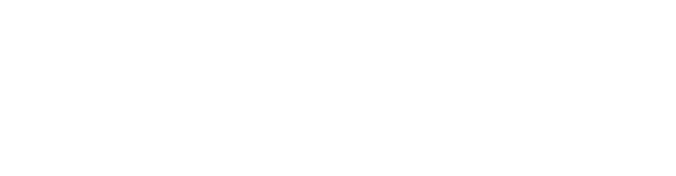Nordic Group B.V. Through Its Subsidiary Nordic Pharma, Inc. (U.S ...